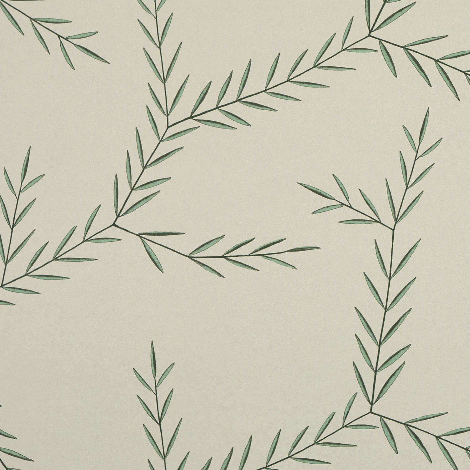 Olive Branch - Jennifer Shorto